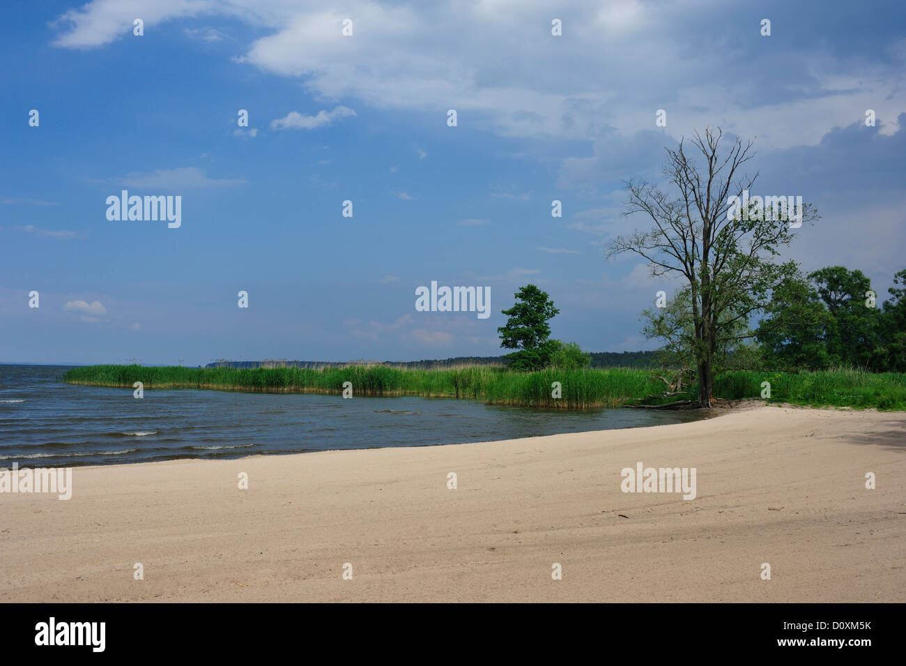 Stettiner hi-res stock photography and images - Alamy