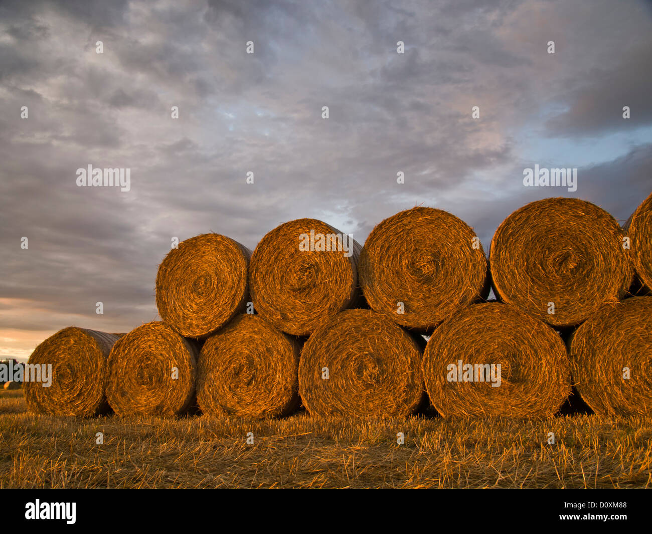 Field, agriculture, agriculture, fields, cloudy, cloudy sky, German ...