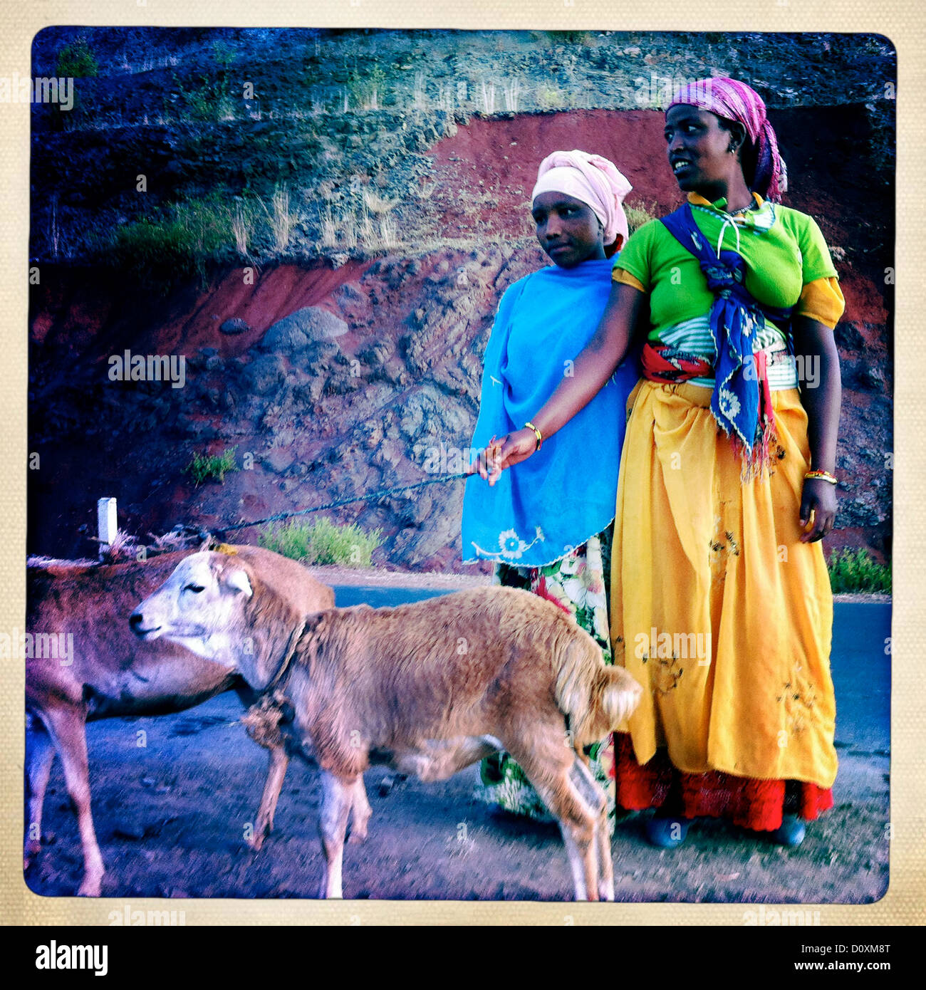 Women And Sheep, Dire Dawa, Ethiopia Stock Photo - Alamy