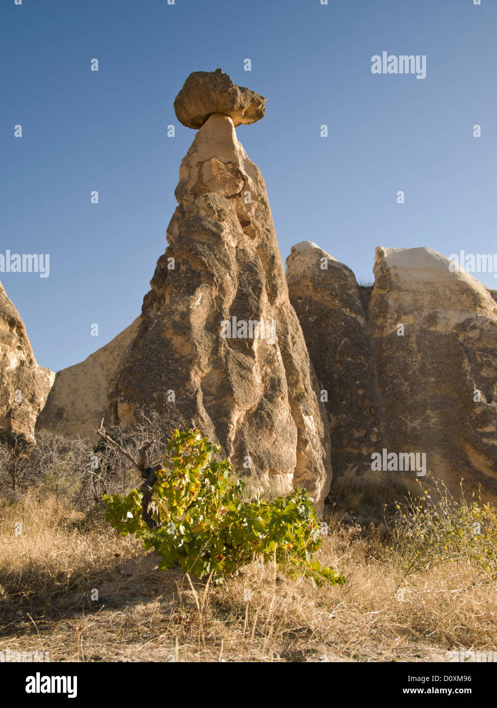 Anatolia, Asia, Asian, scenery, balloons, cliff, rock, cliff, cliff ...