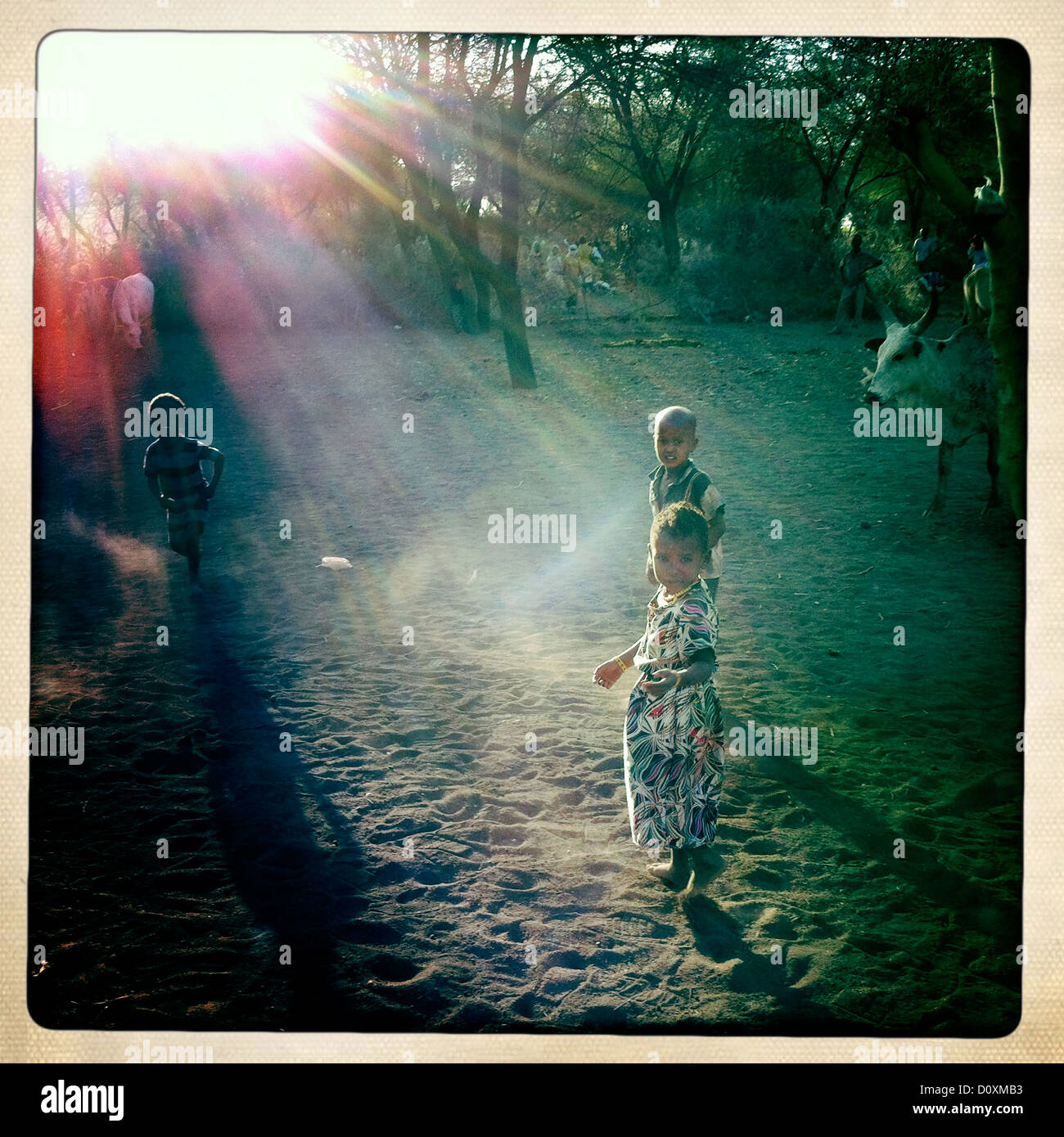 Karrayyu Tribe Kids In The Sunlight During Gadaaa Ceremony With Cow In ...