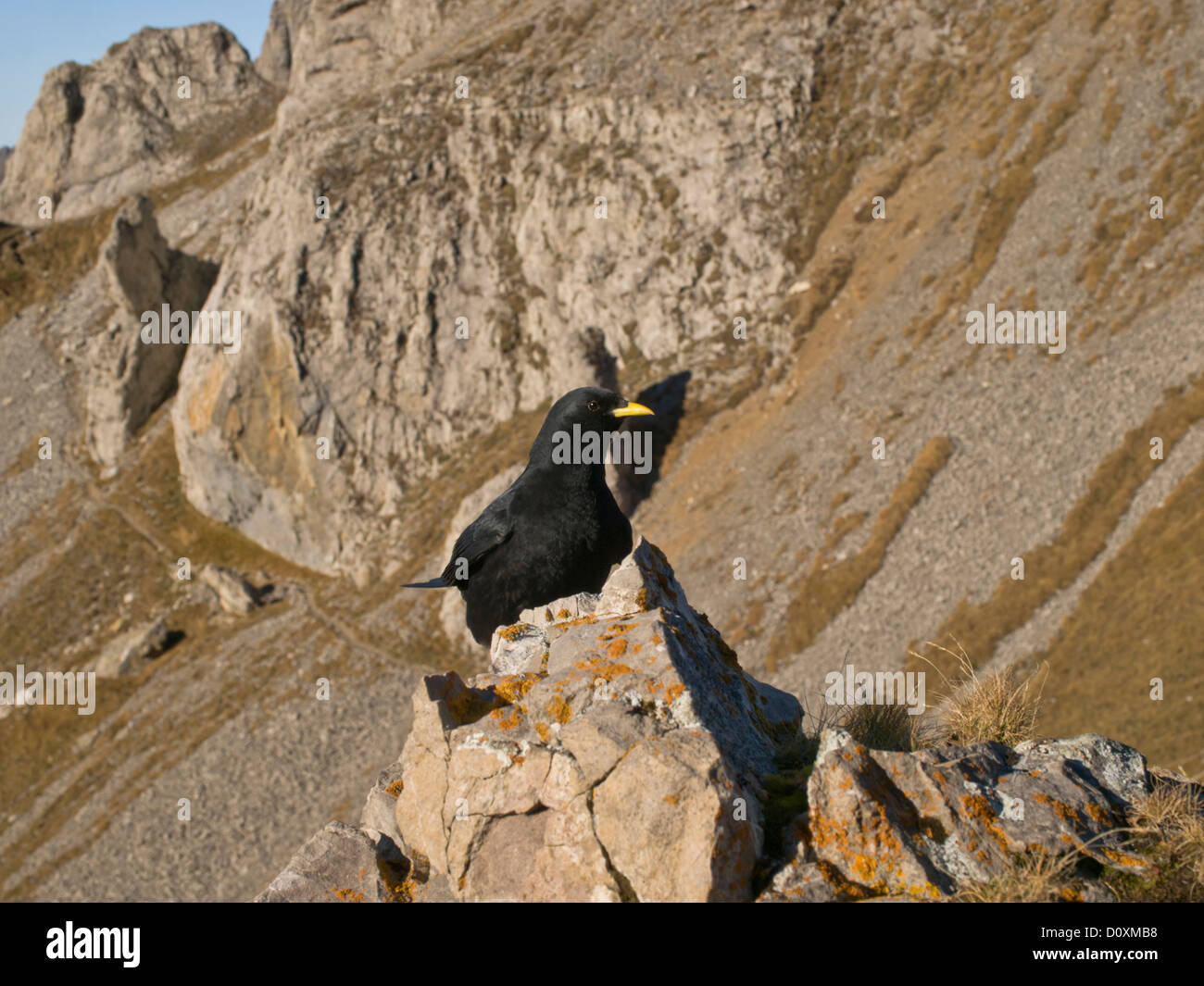 Raven mountain hi-res stock photography and images - Alamy
