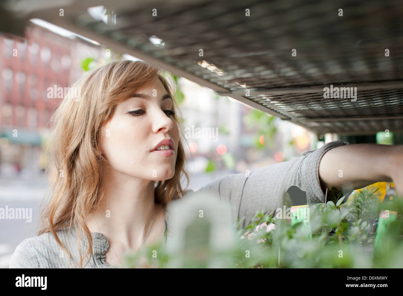 Young woman choosing plants from stall Stock Photo - Alamy