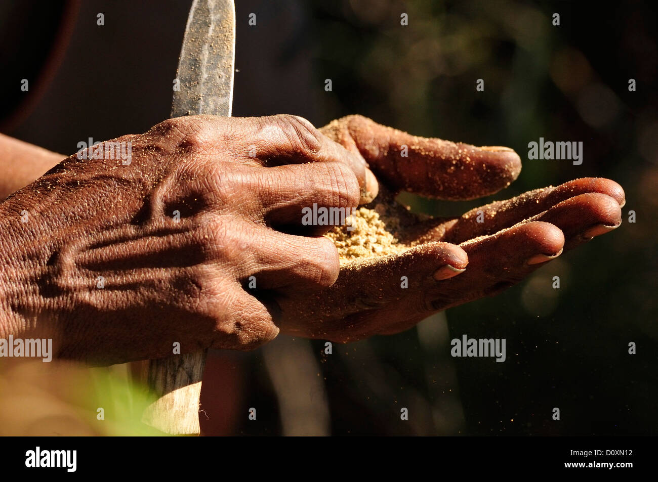 Africa, Bushmen, Namibia, citting, clan, grain, hands, horizontal ...