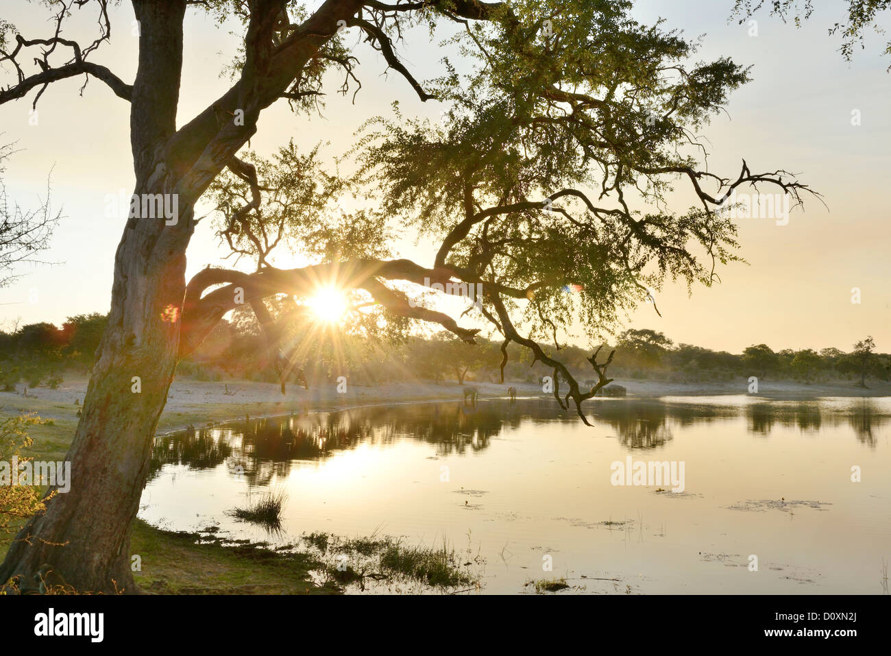 Africa, Namibia, Caprivi, Bwa Bwata, National Park, Horseshoe Bend ...