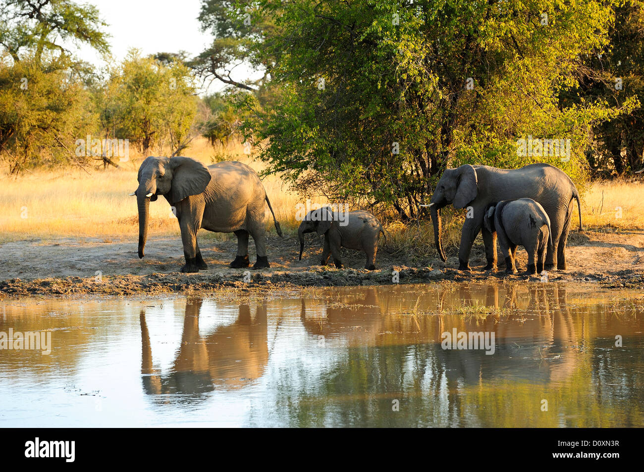 Africa, Bwa Bwata, National Park, Caprivi, Horseshoe Bend, Kwando River ...