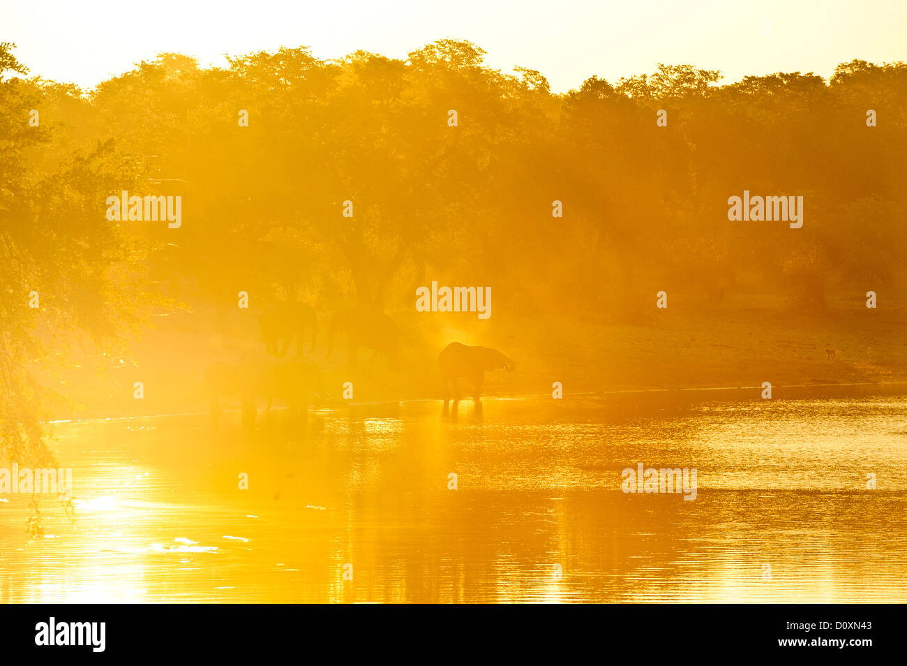 Africa bwa bwata national park hi-res stock photography and images - Alamy