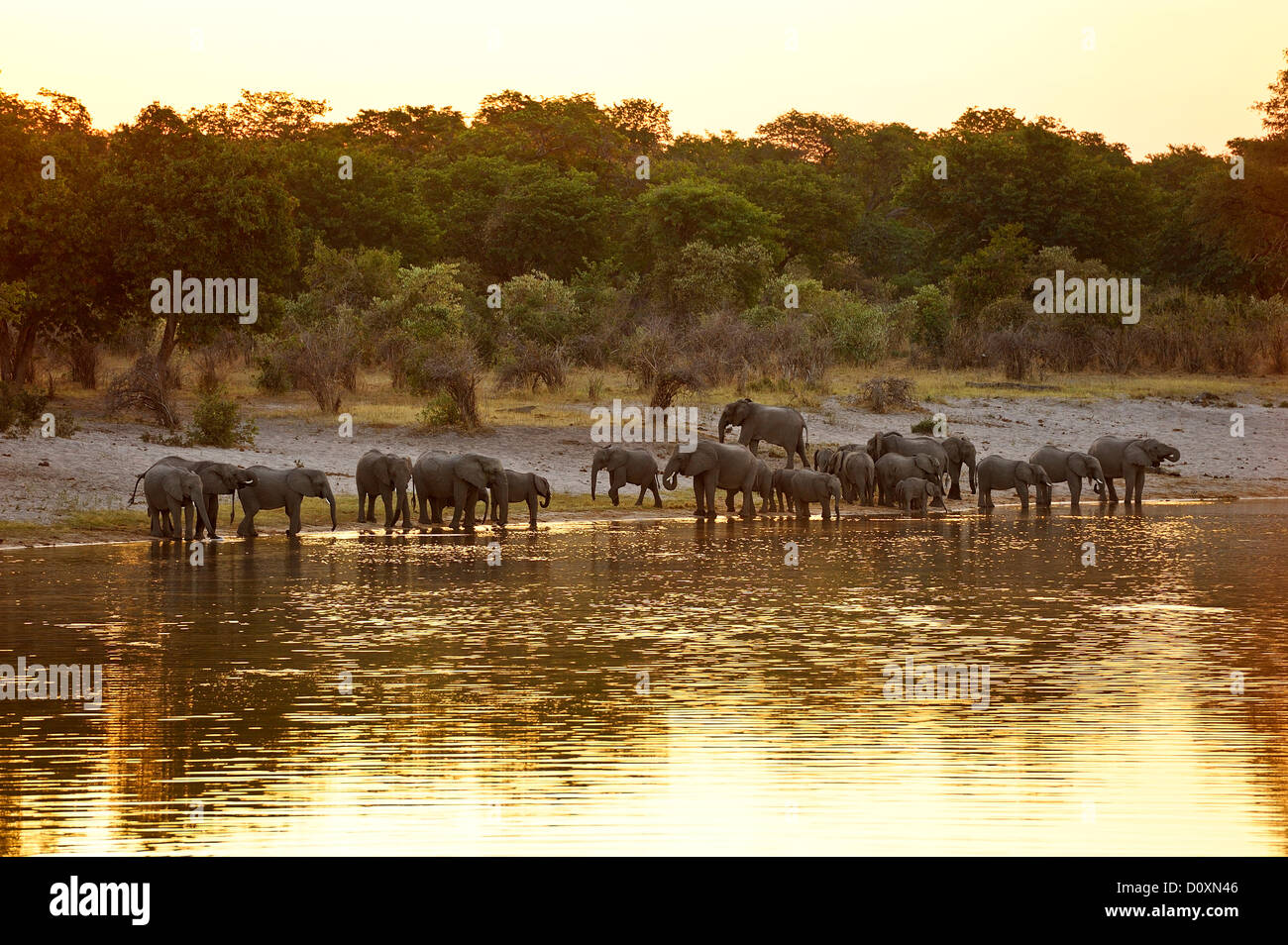 Africa, Bwa Bwata, National Park, Caprivi, Horseshoe Bend, Kwando River ...