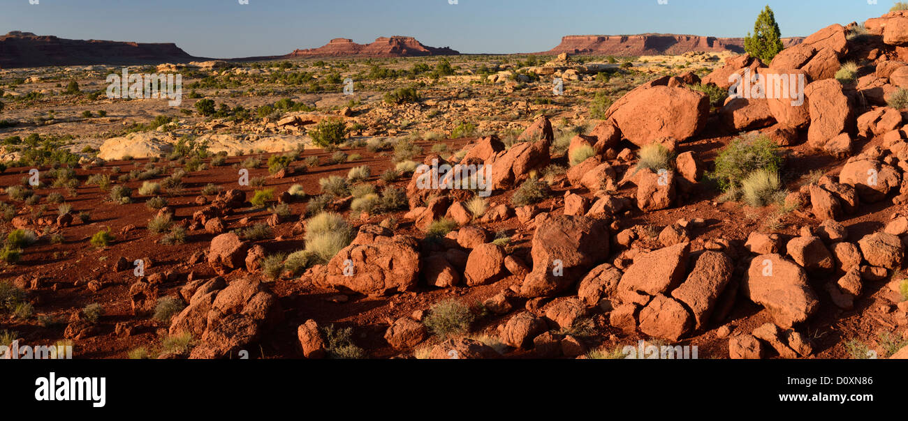 America, USA, United States, Four Corners, Colorado Plateau, Utah, red ...
