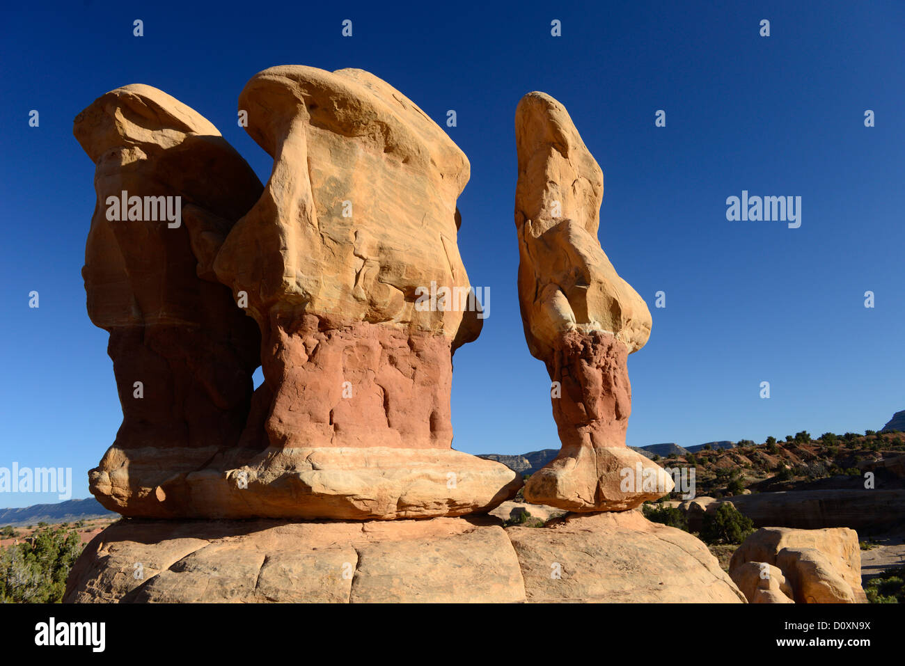 America, USA, United States, Colorado Plateau, Utah, Devils Garden ...