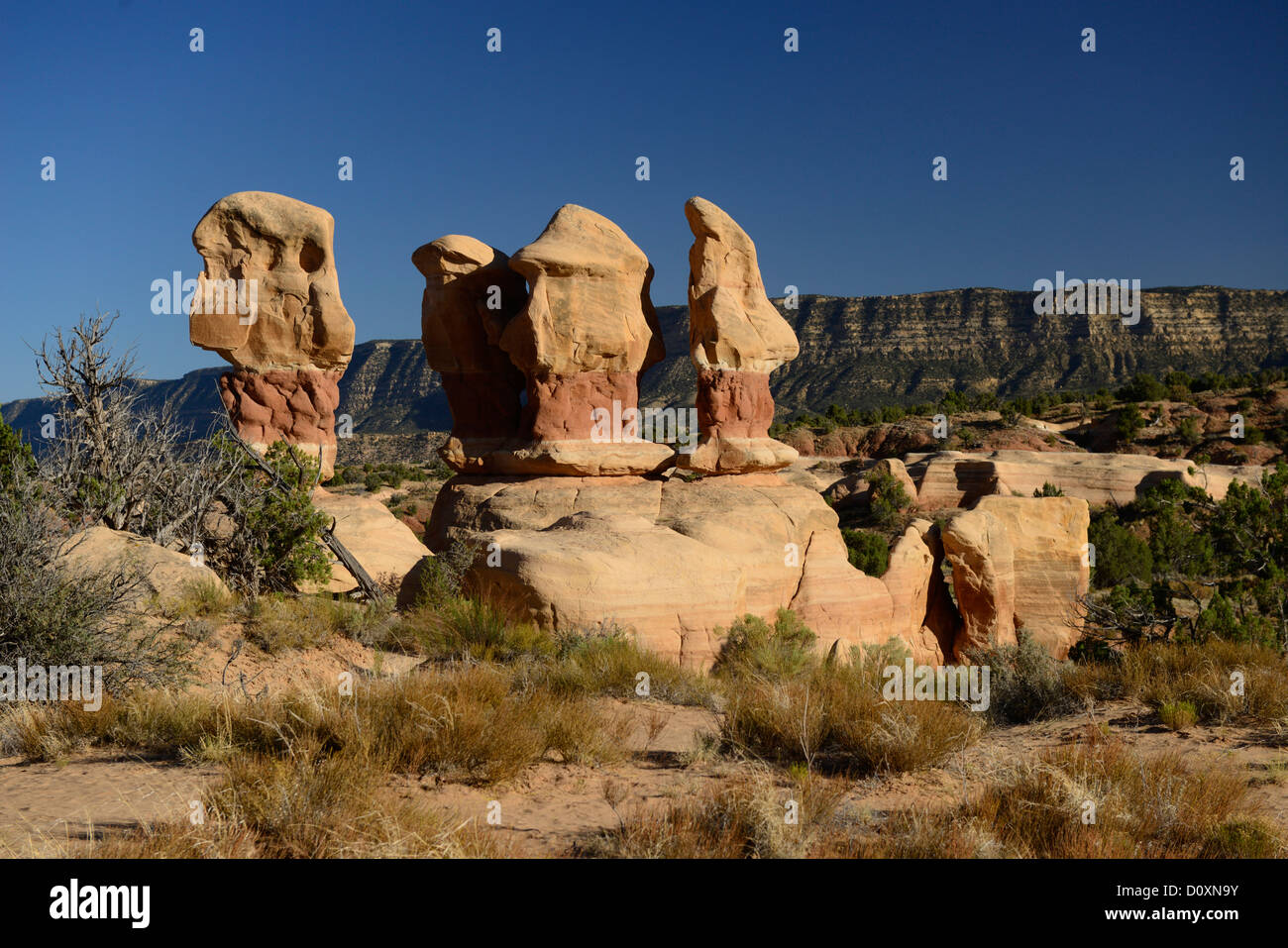 America, USA, United States, Colorado Plateau, Utah, Devils Garden ...