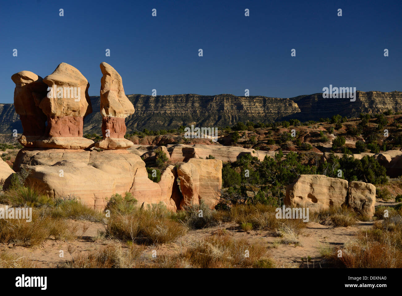 America, USA, United States, Colorado Plateau, Utah, Devils Garden ...