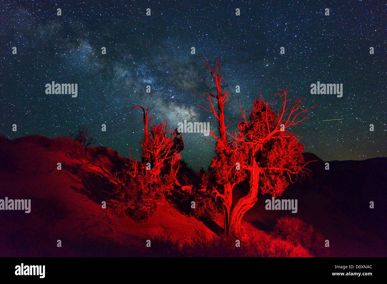 America, USA, United States, Colorado Plateau, Utah, Devil's Garden ...