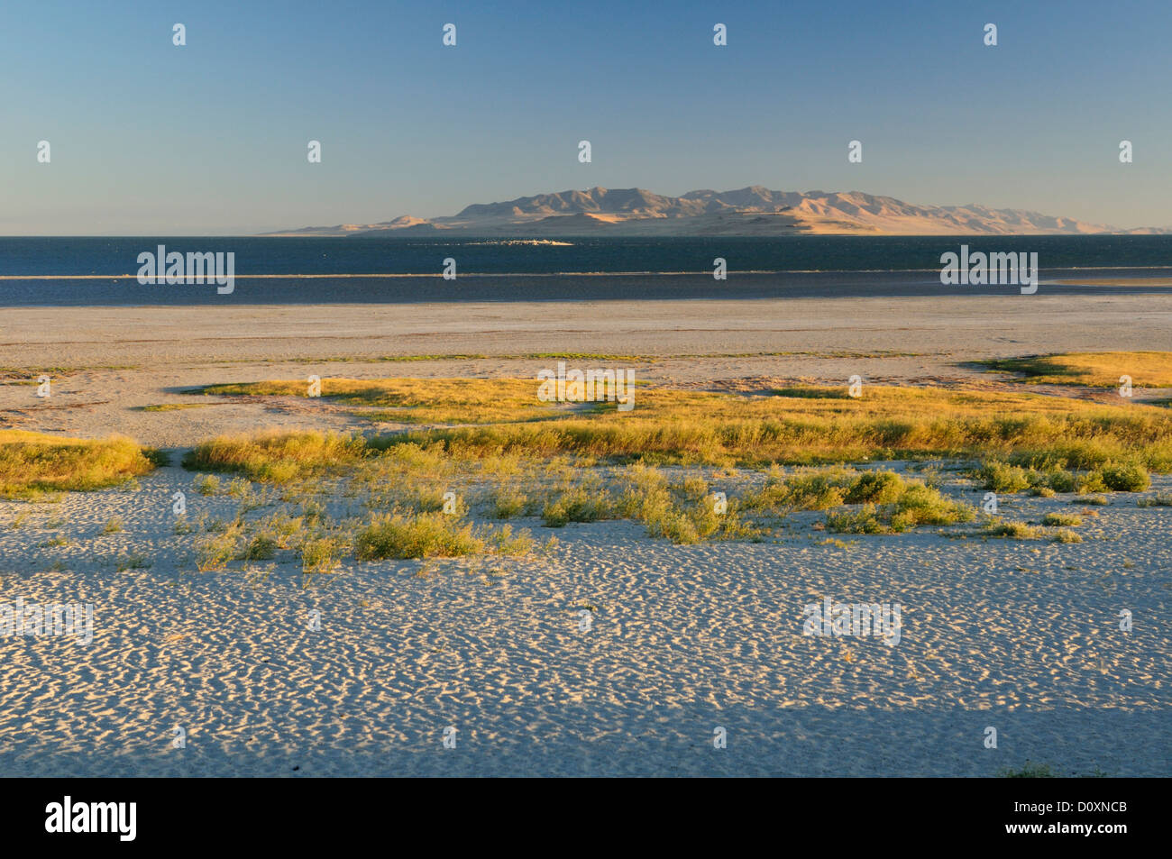 America, USA, United States, Utah, Great, Salt Lake, Antelope Island ...