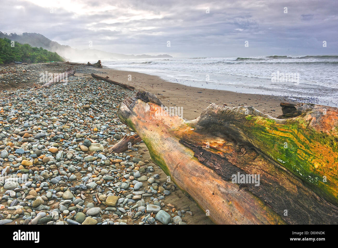 Pebble beach hi-res stock photography and images - Alamy