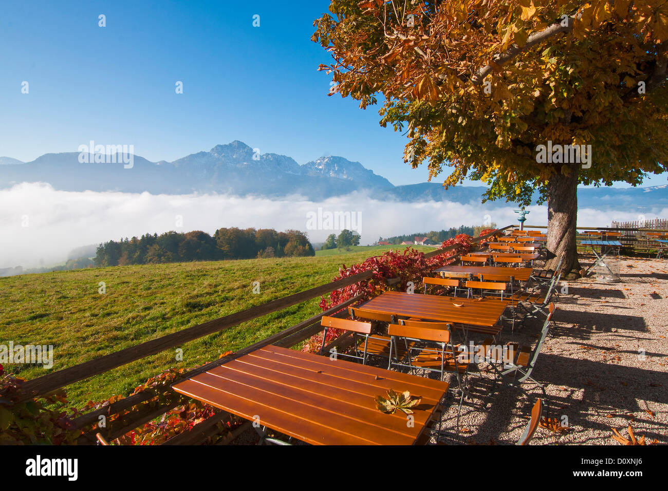 Bavaria, Germany, Europe, Upper Bavaria, Berchtesgaden area ...