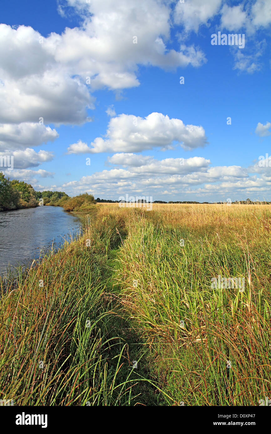Field near river hi-res stock photography and images - Alamy