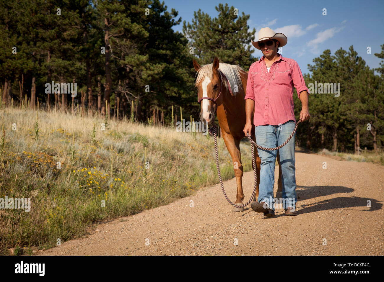 Man walking with horse hi-res stock photography and images - Alamy