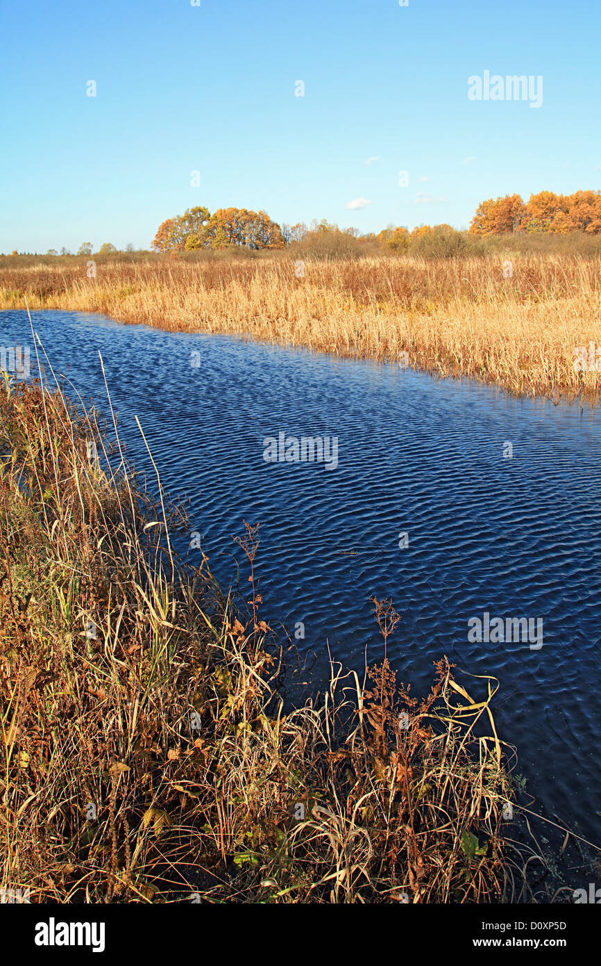 small river on autumn field Stock Photo - Alamy