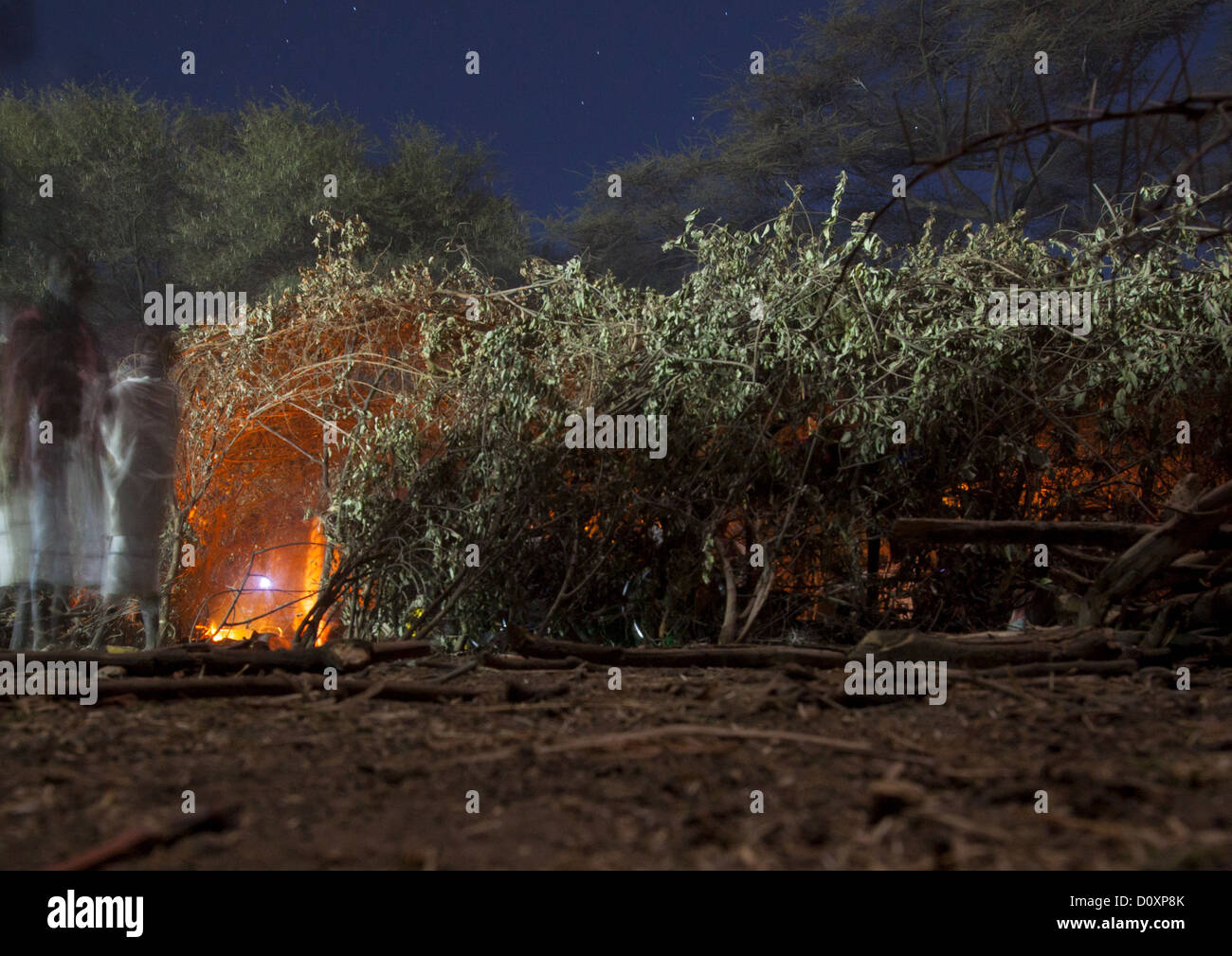 Night View Of Karrayyu Tribe People Standing Near Karrayyu Tribe House ...