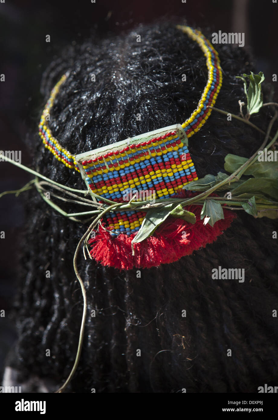 Headband And Branches In The Hair Of A Karrayyu Tribe Girl In Gadaaa ...