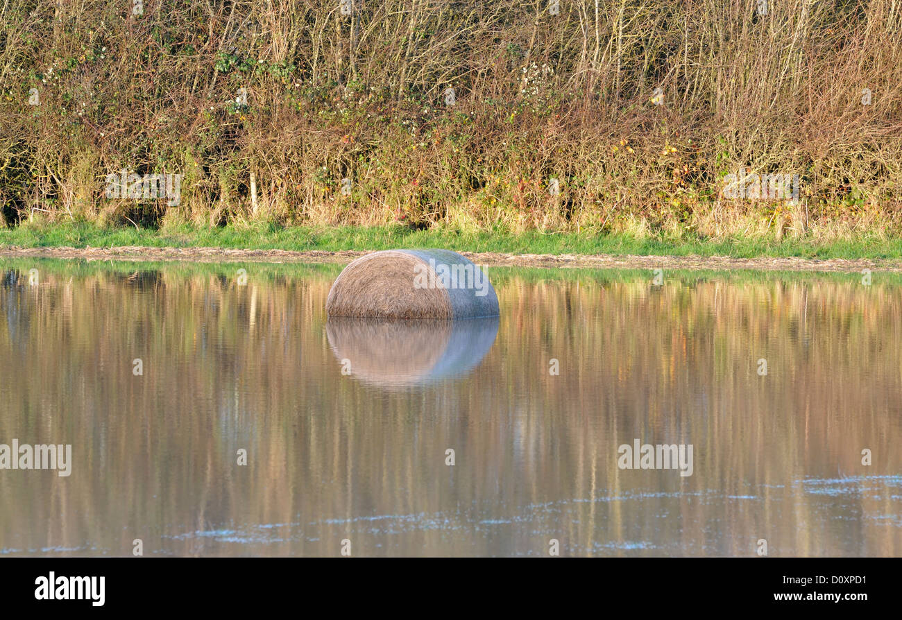 Hay bale pool hi-res stock photography and images - Alamy
