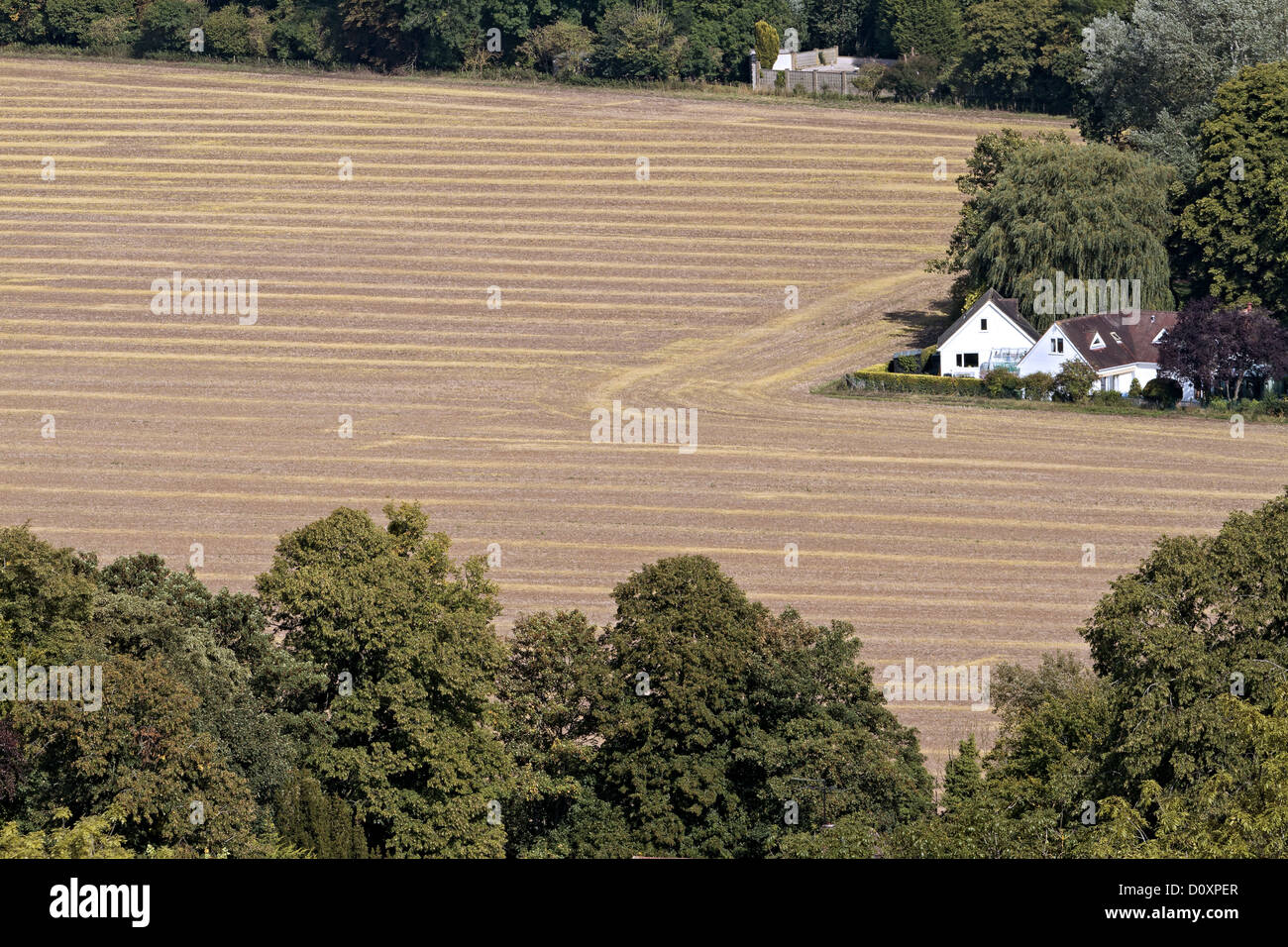 UK Oxfordshire Streatley Hayfield and Houses Stock Photo - Alamy