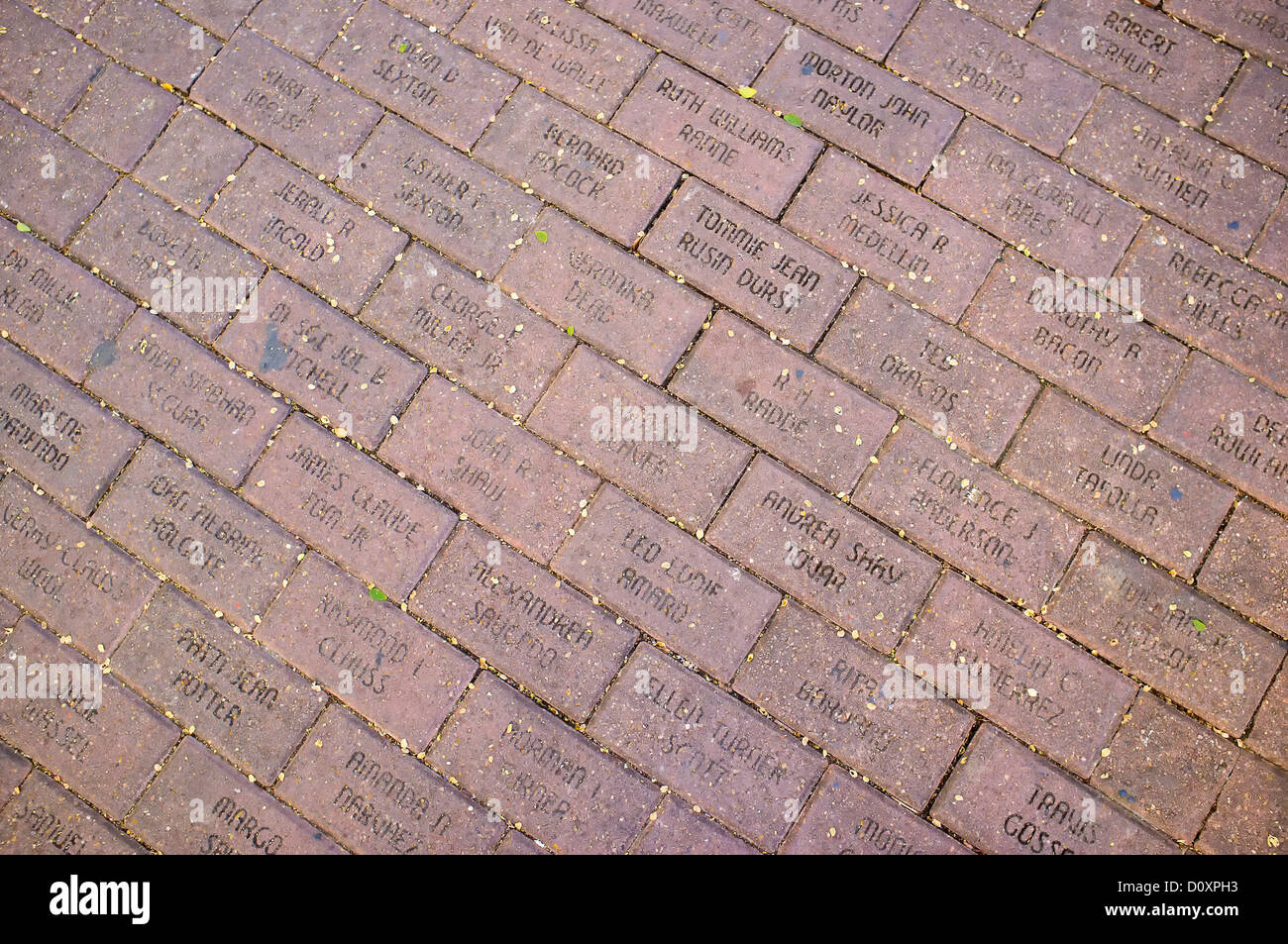 Brick Lace And Names