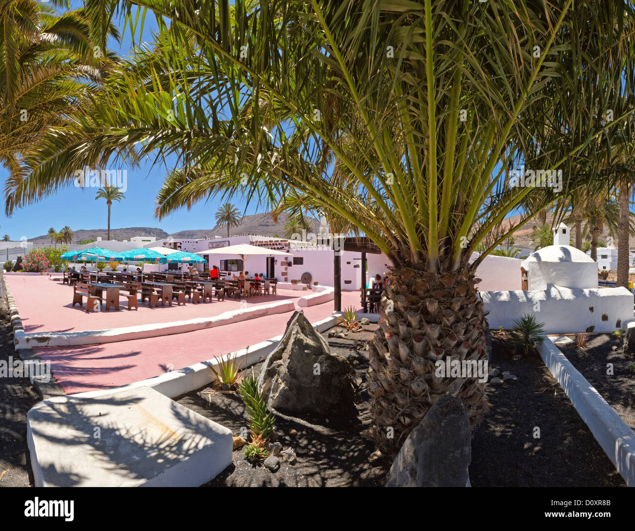 Spain, Lanzarote, Haria, Outdoor, restaurant, city, village, forest ...