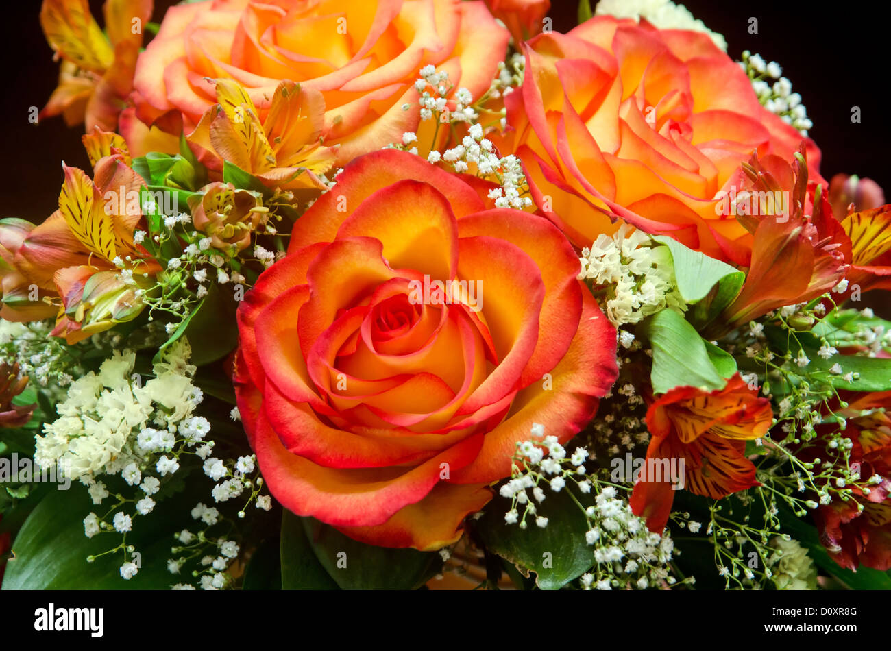 orange roses flower bouquet Stock Photo - Alamy