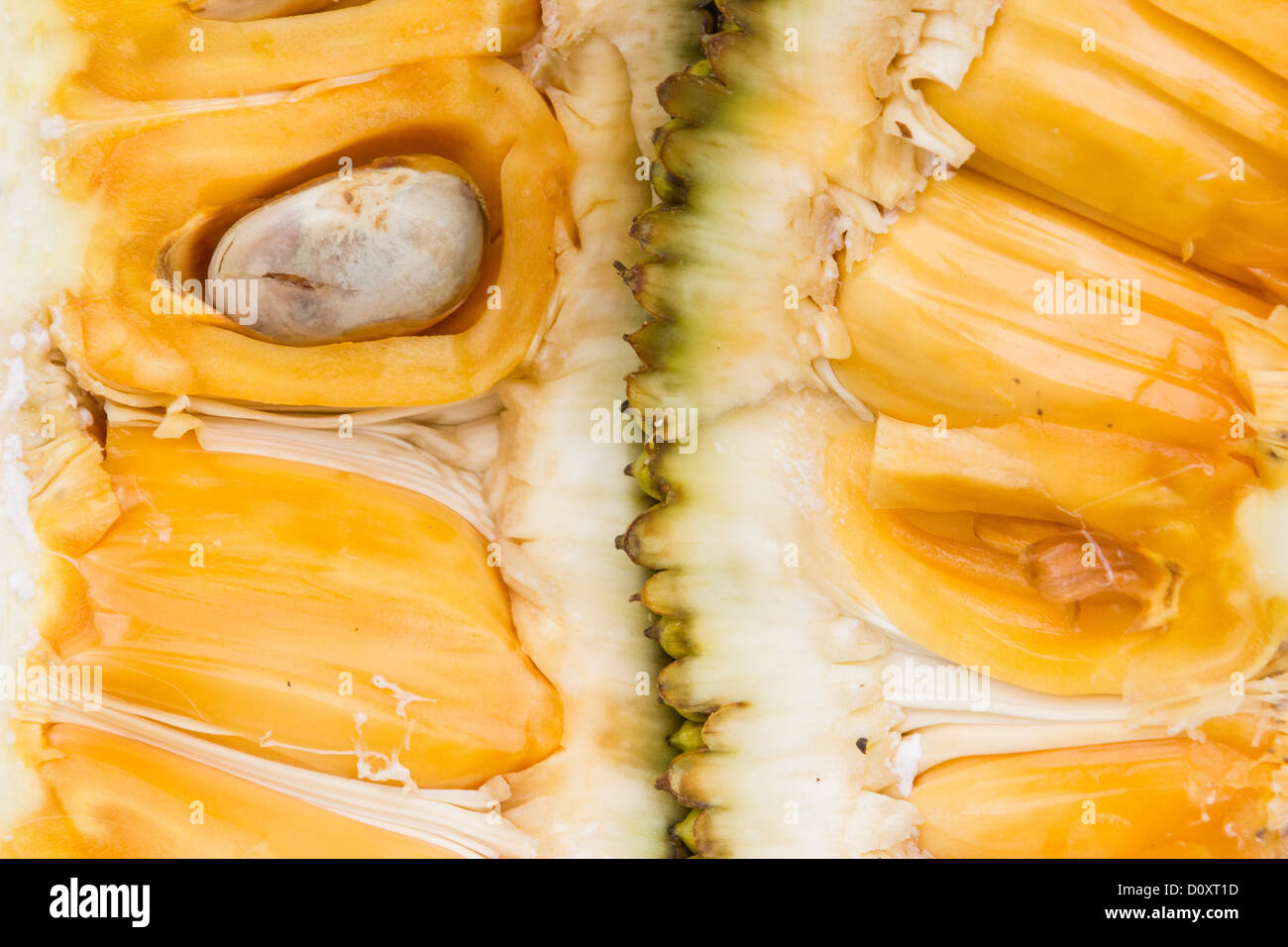 Durian as the hi-res stock photography and images - Alamy