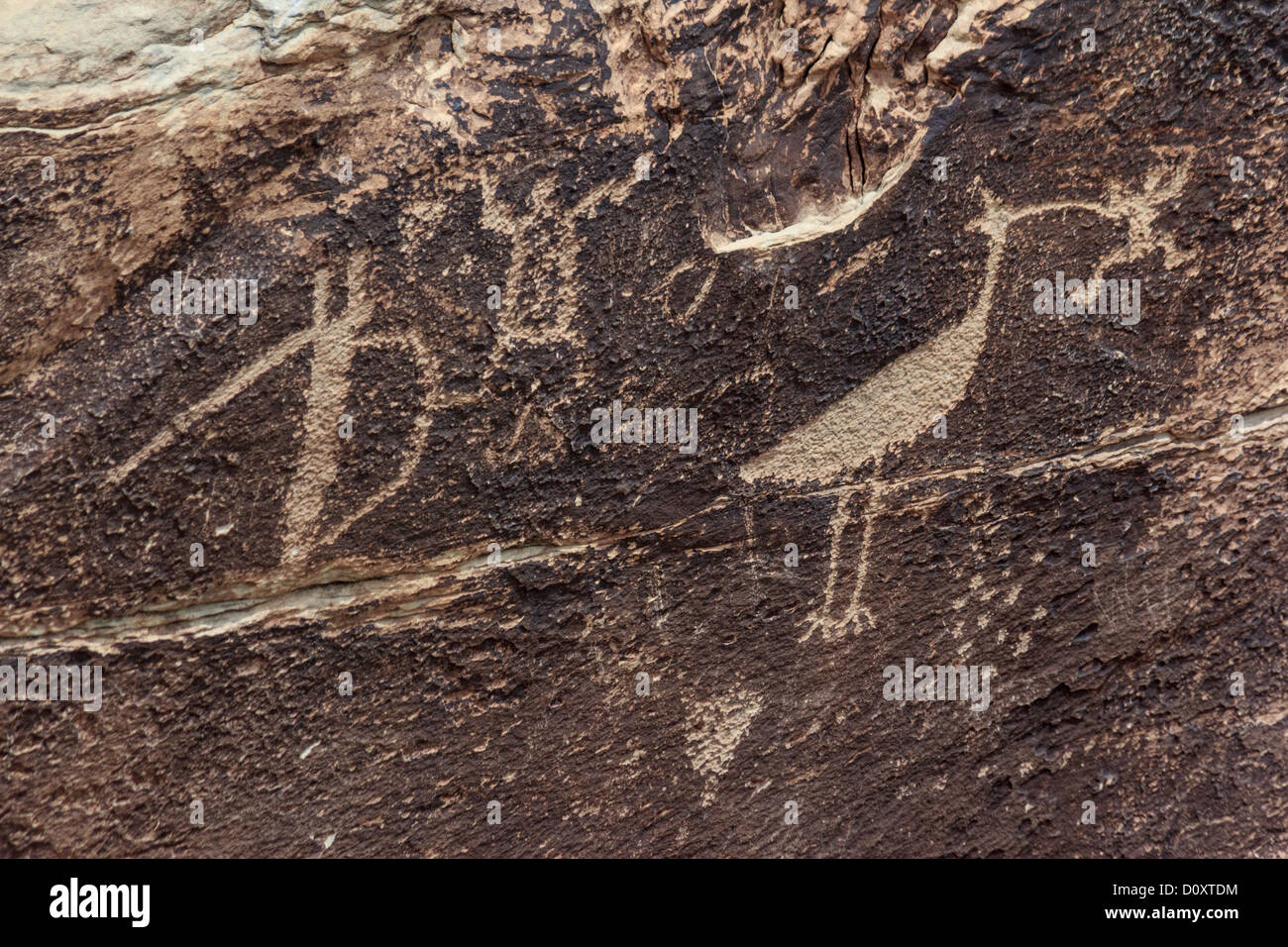 Petrified Forest, rock formation, National Park, Petroglyph, rock ...