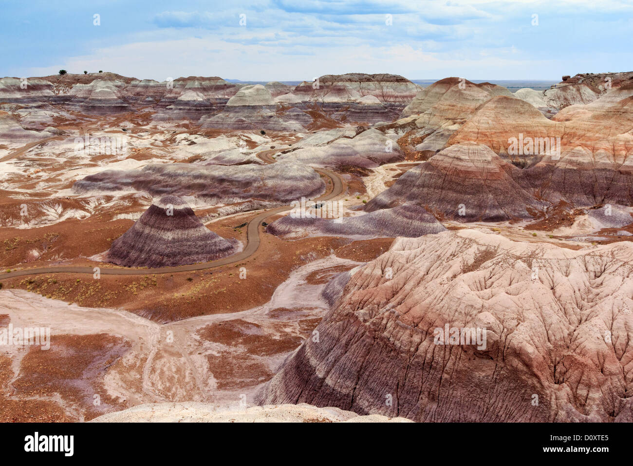 Petrified Forest, rock formation, National Park Stock Photo - Alamy