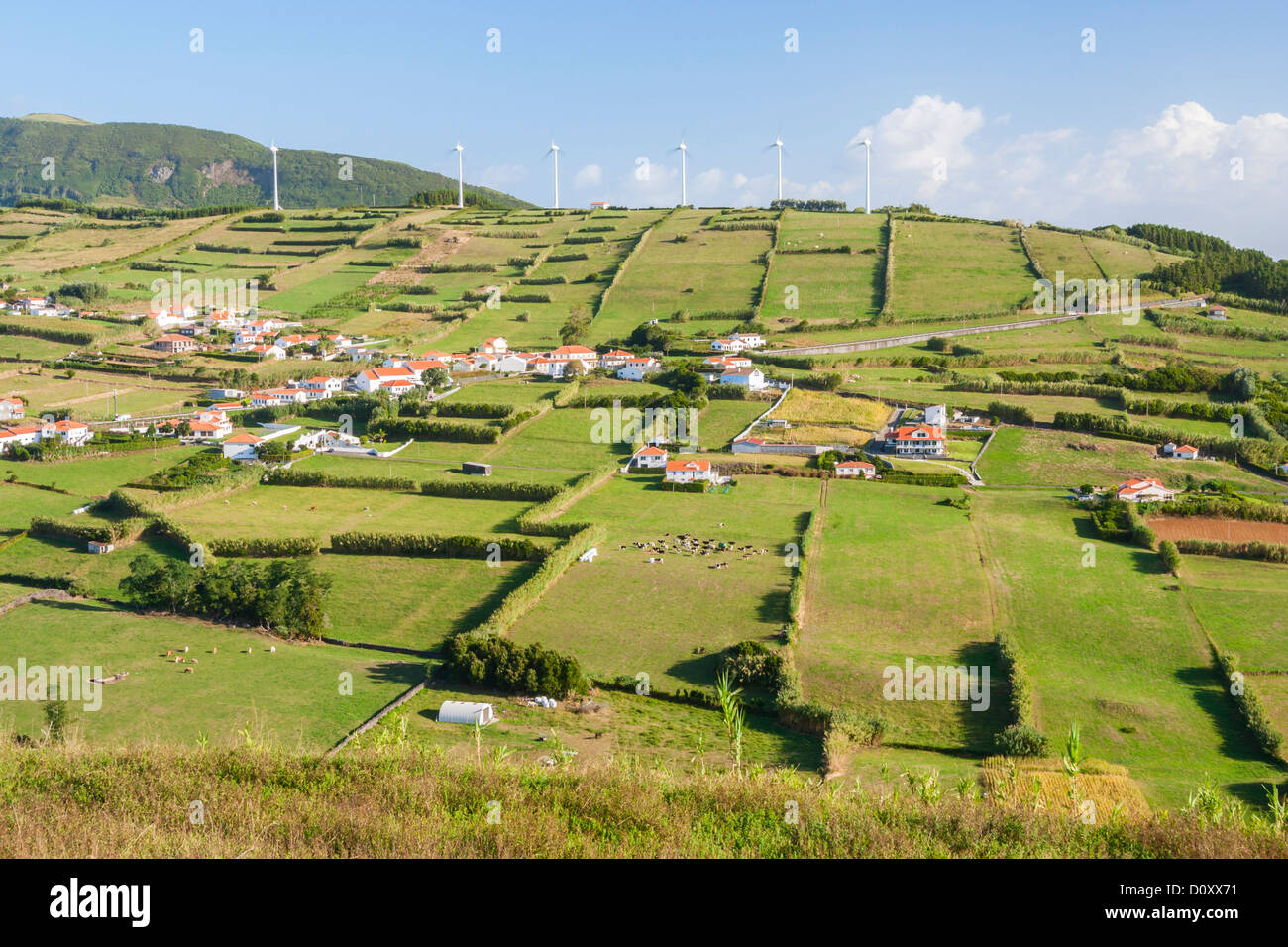 Horta town on Faial island in The Azores Stock Photo - Alamy