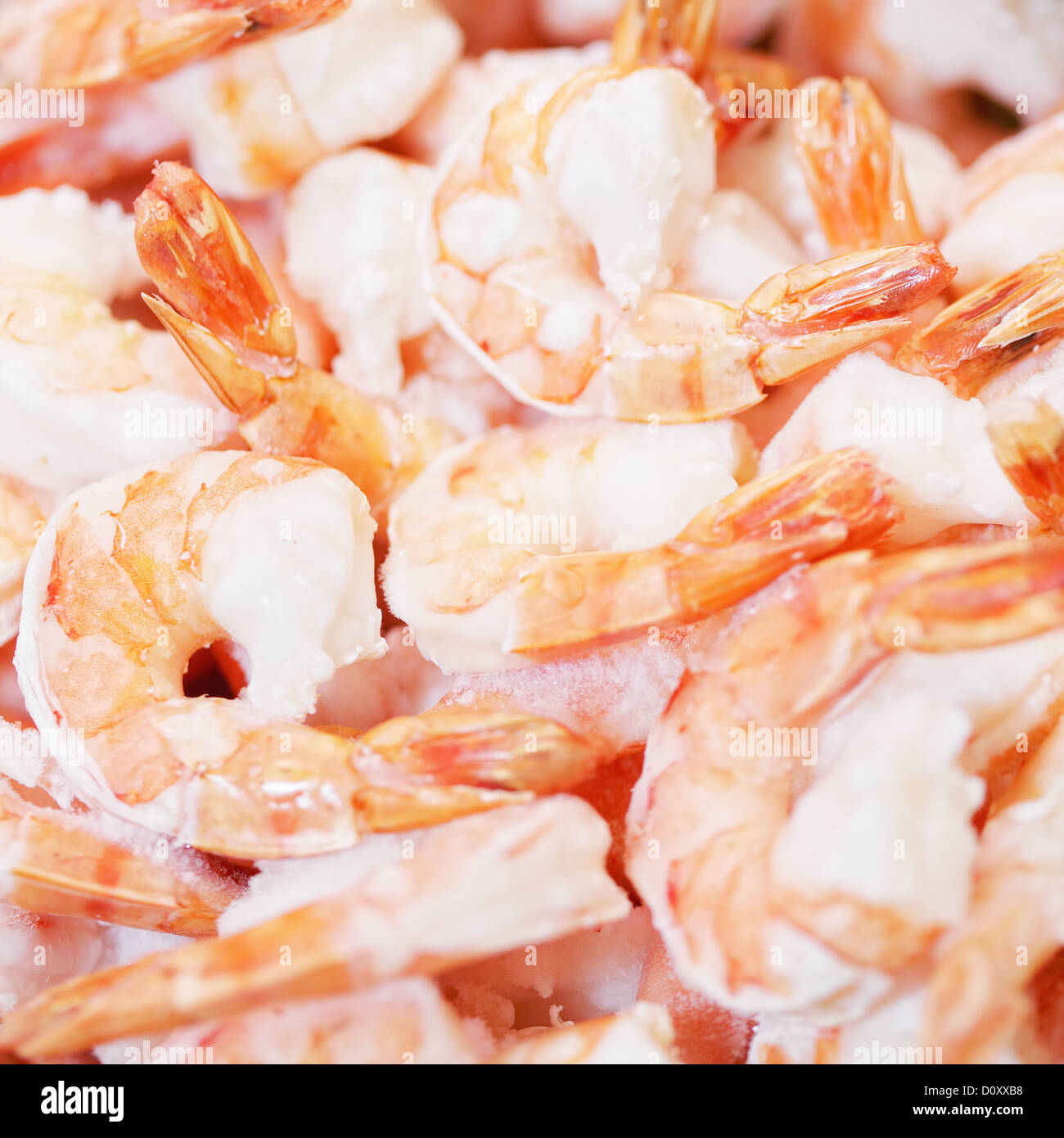 Bulk frozen seafood hi-res stock photography and images - Alamy