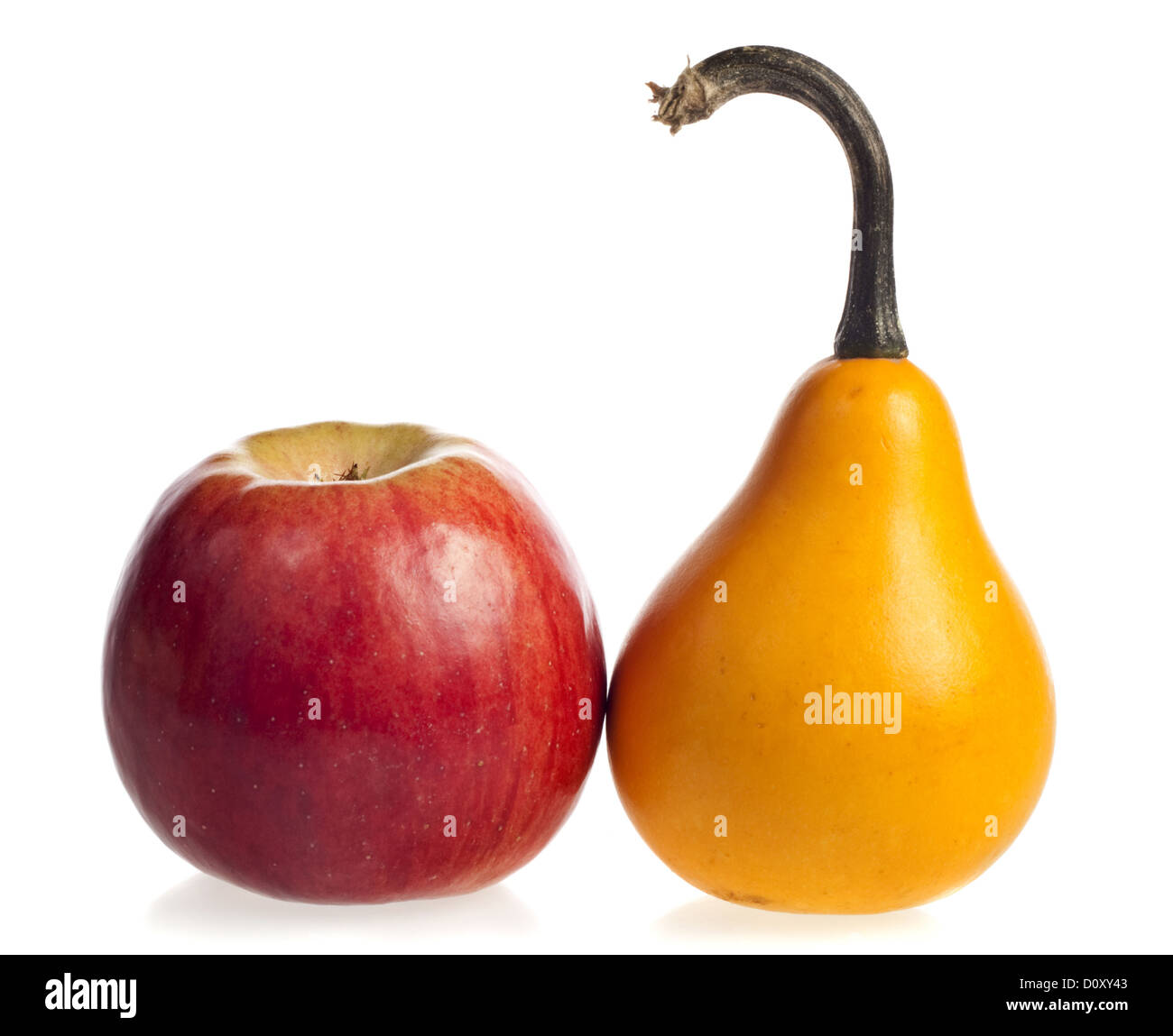 Small colorful pumpkins decoration Cut Out Stock Images & Pictures - Alamy