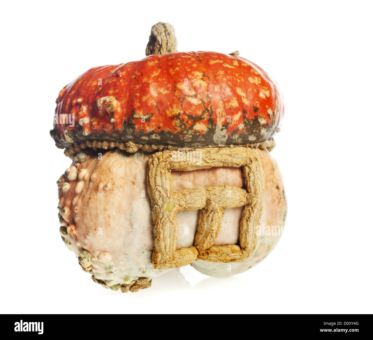 Small colorful pumpkins decoration Cut Out Stock Images & Pictures - Alamy