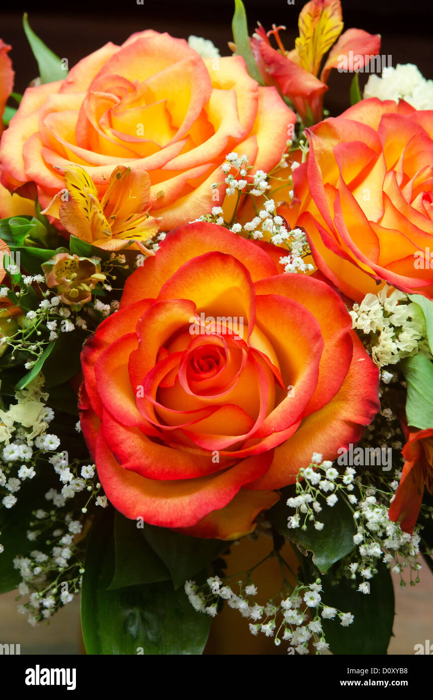 orange roses flower bouquet Stock Photo - Alamy