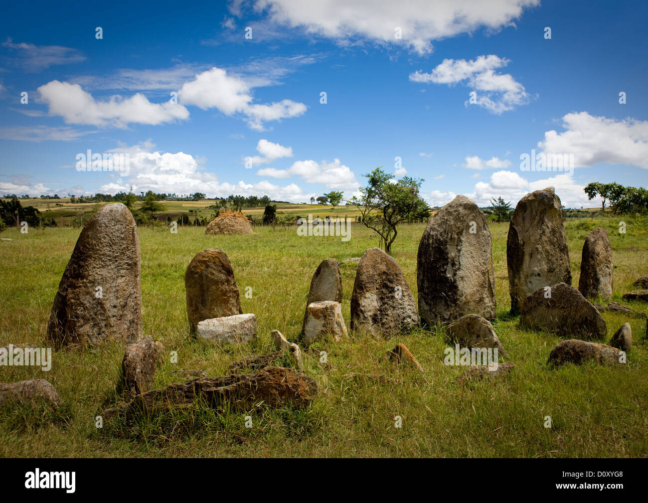 Site Of Tiya, Unesco World Heritage Site, Tiya, Ethiopia Stock Photo ...