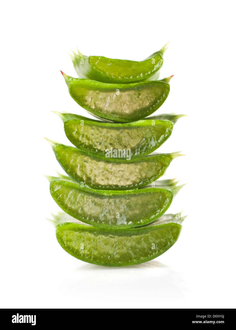Aloe leaves hi-res stock photography and images - Alamy