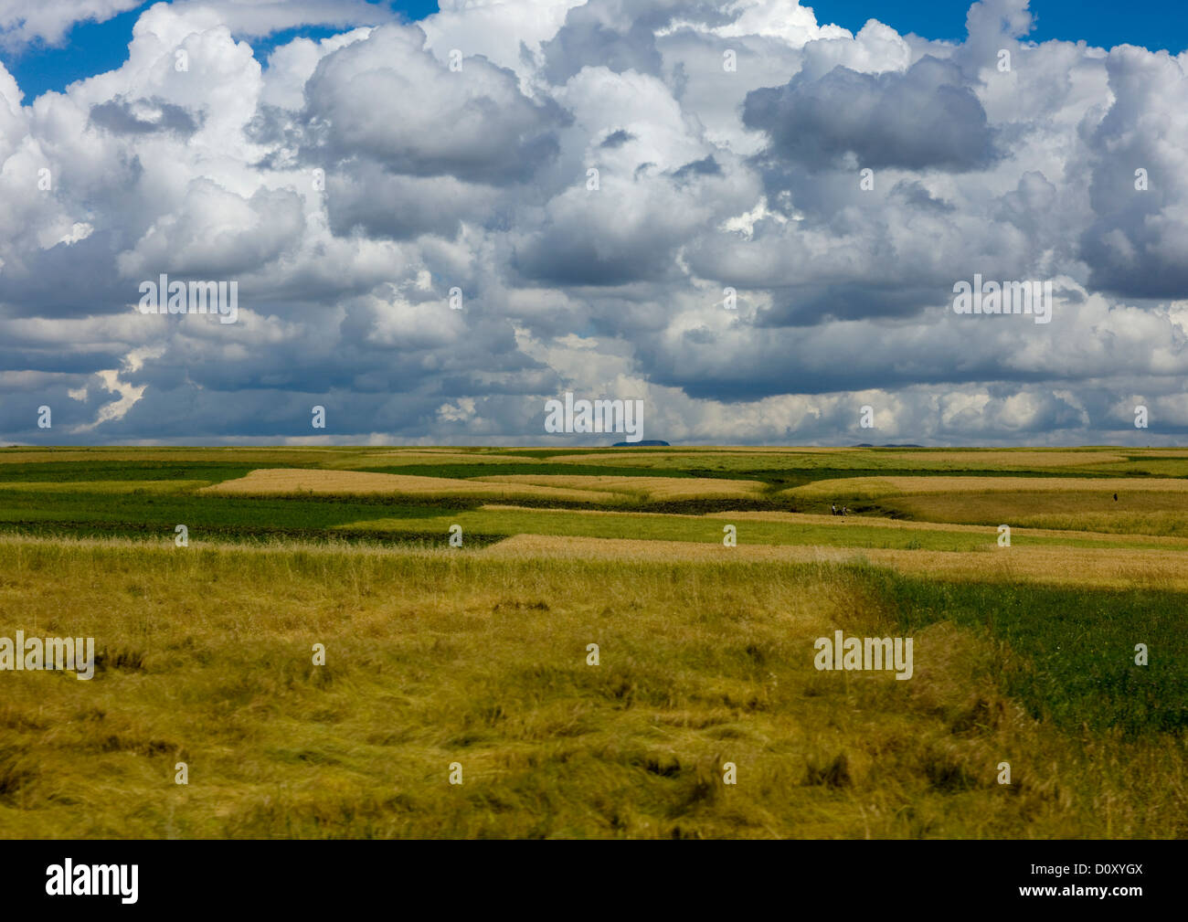 Adama ethiopia hi-res stock photography and images - Alamy