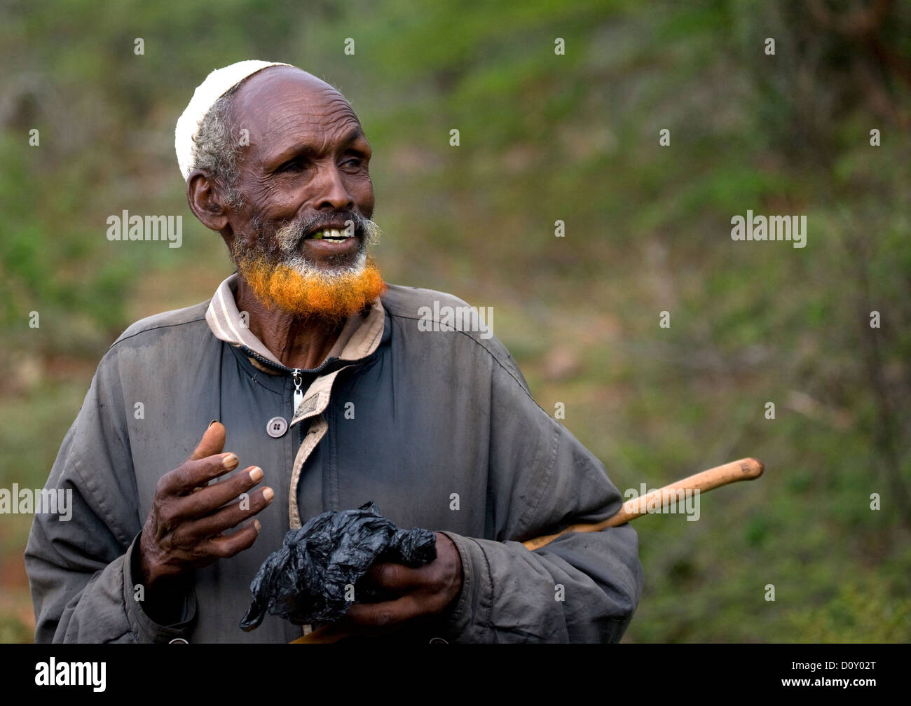 Old Man From Gabra Tribe With Ginger Tainted Beard, Yabello, Omo Valley ...