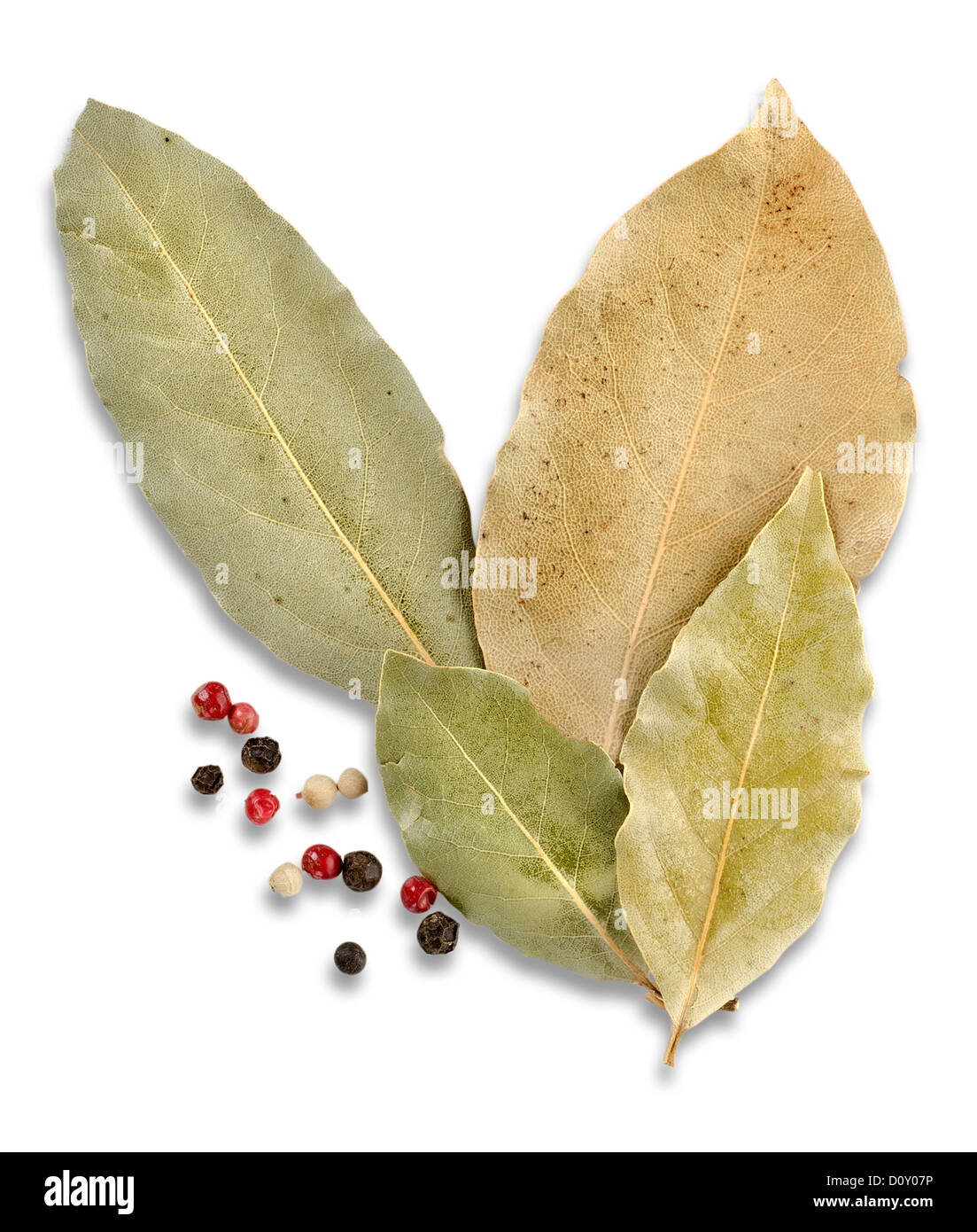 Bay leaves and spices isolated on white background Stock Photo - Alamy