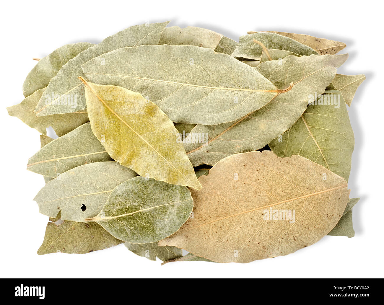 Bay leaves background hi-res stock photography and images - Alamy