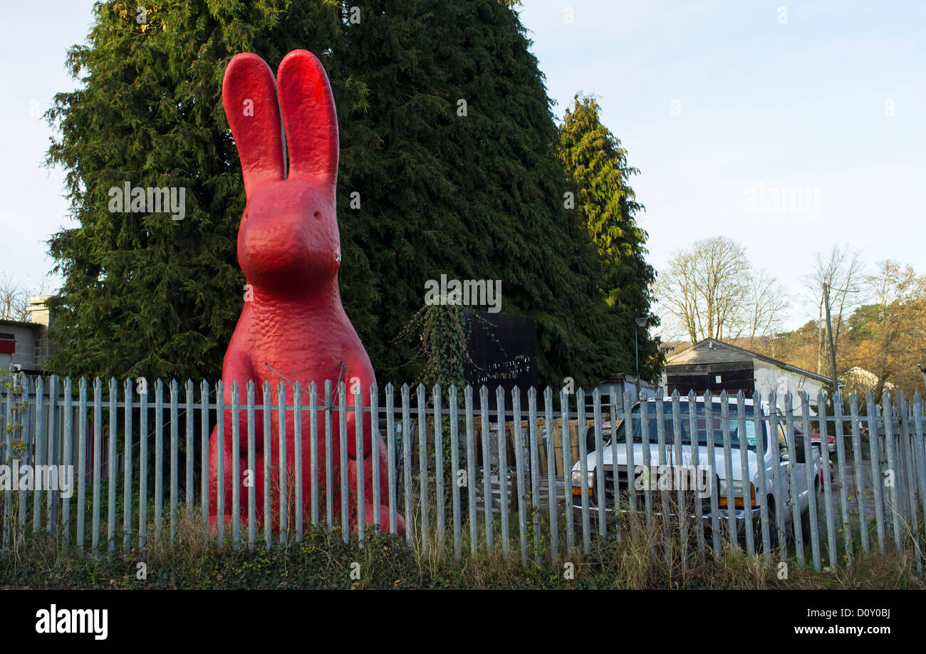 Fence model rabbit hi-res stock photography and images - Alamy