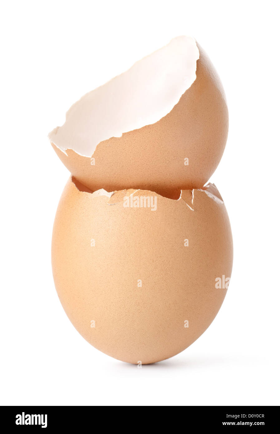 Empty egg shell isolated on a white background Stock Photo - Alamy