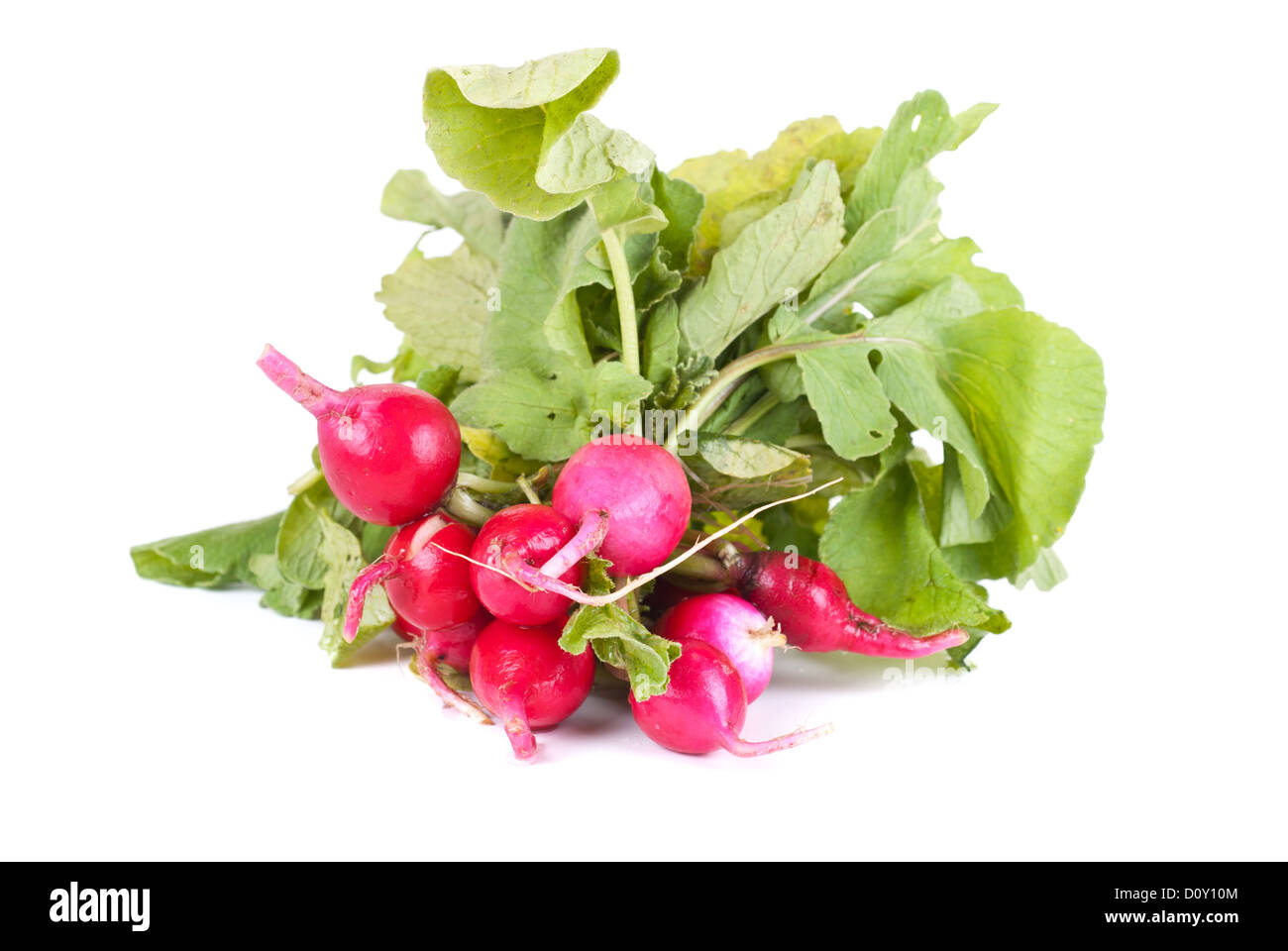 Fresh small red radishes Cut Out Stock Images & Pictures - Alamy