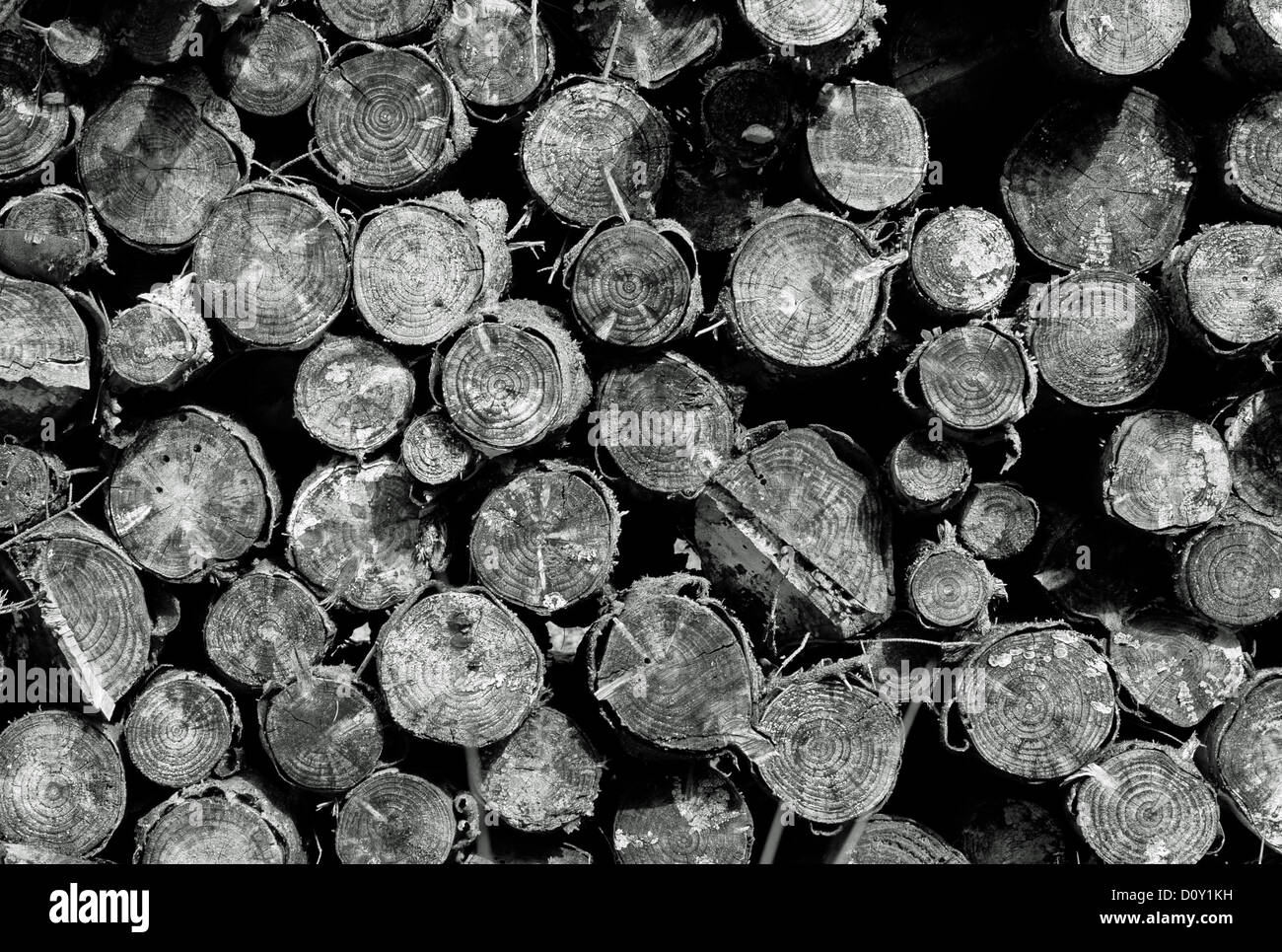 Log pile cropped, mono Stock Photo - Alamy