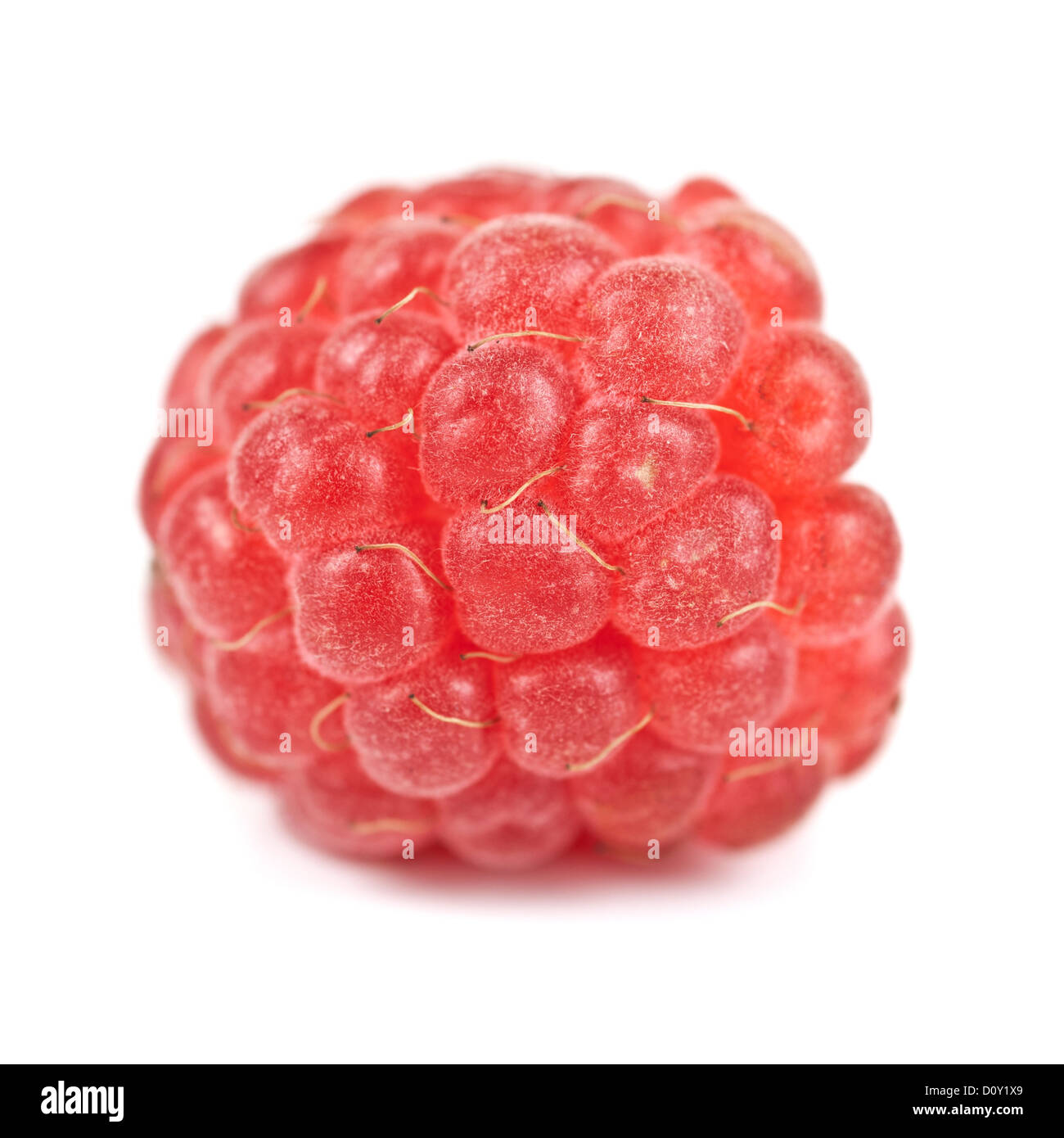 Raspberry fruit single group Cut Out Stock Images & Pictures - Alamy