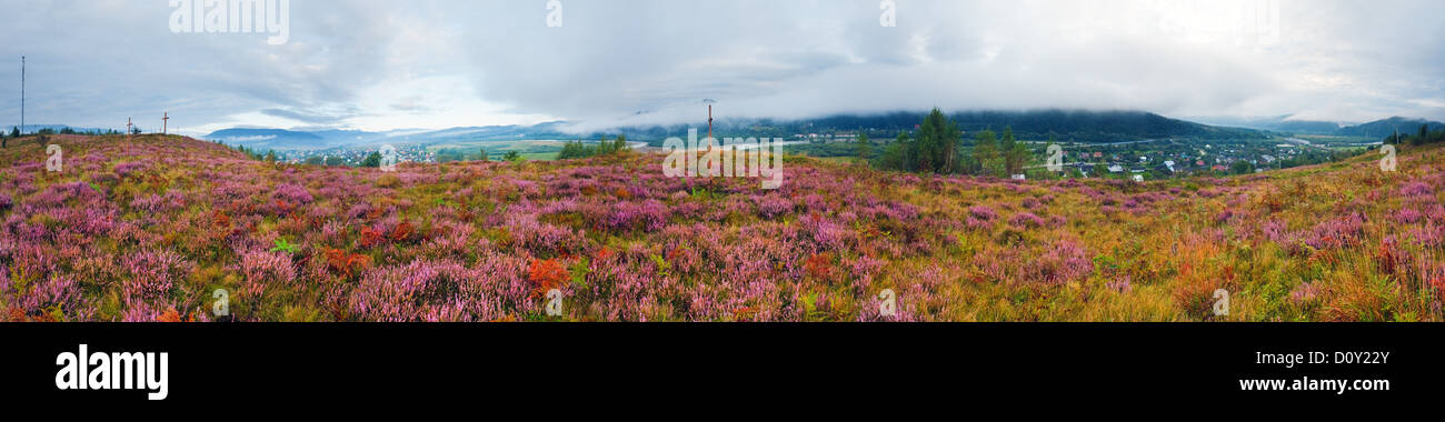 Summer morning country panorama Stock Photo - Alamy